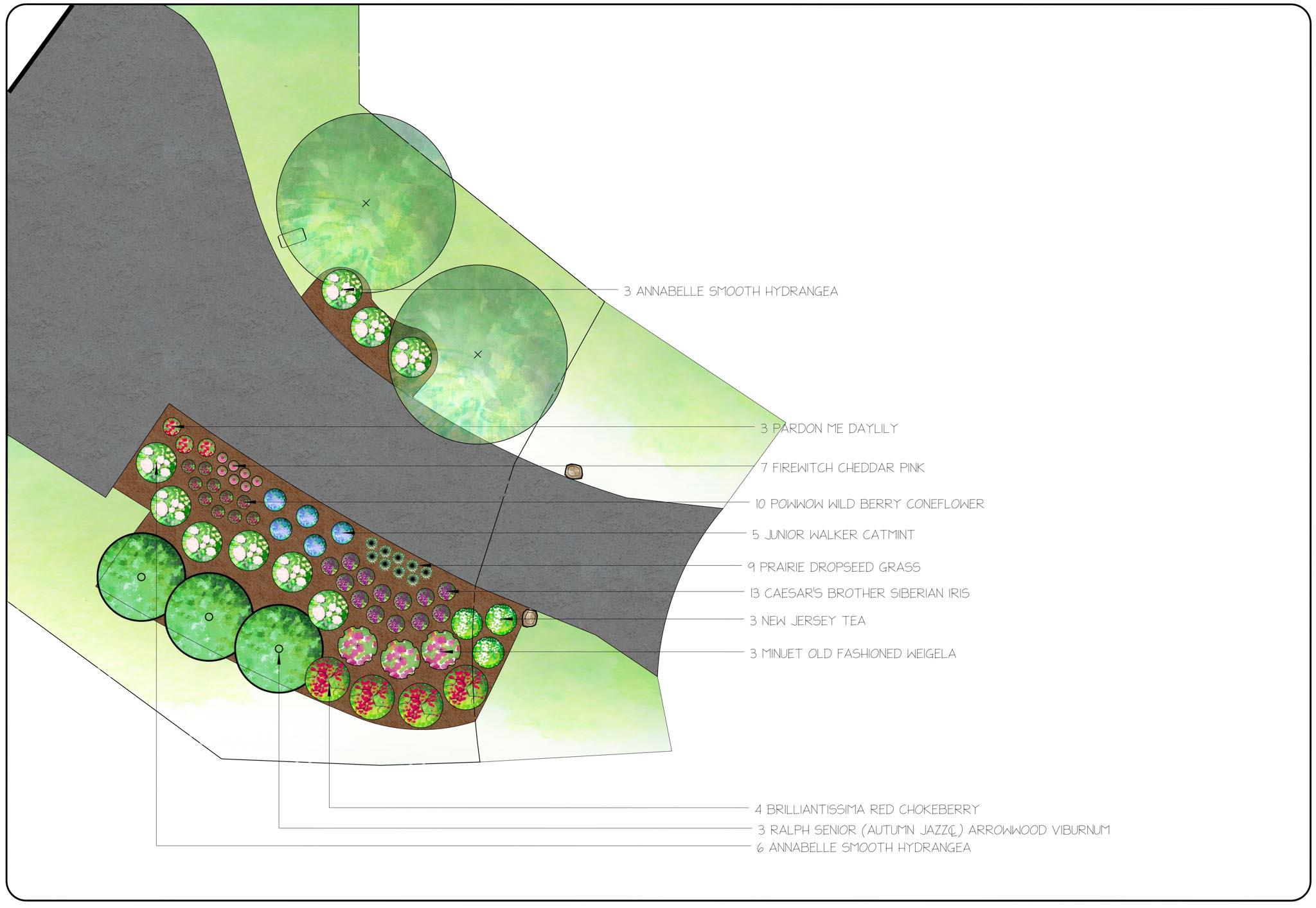 Design Examples - Paradise Landscape and Design